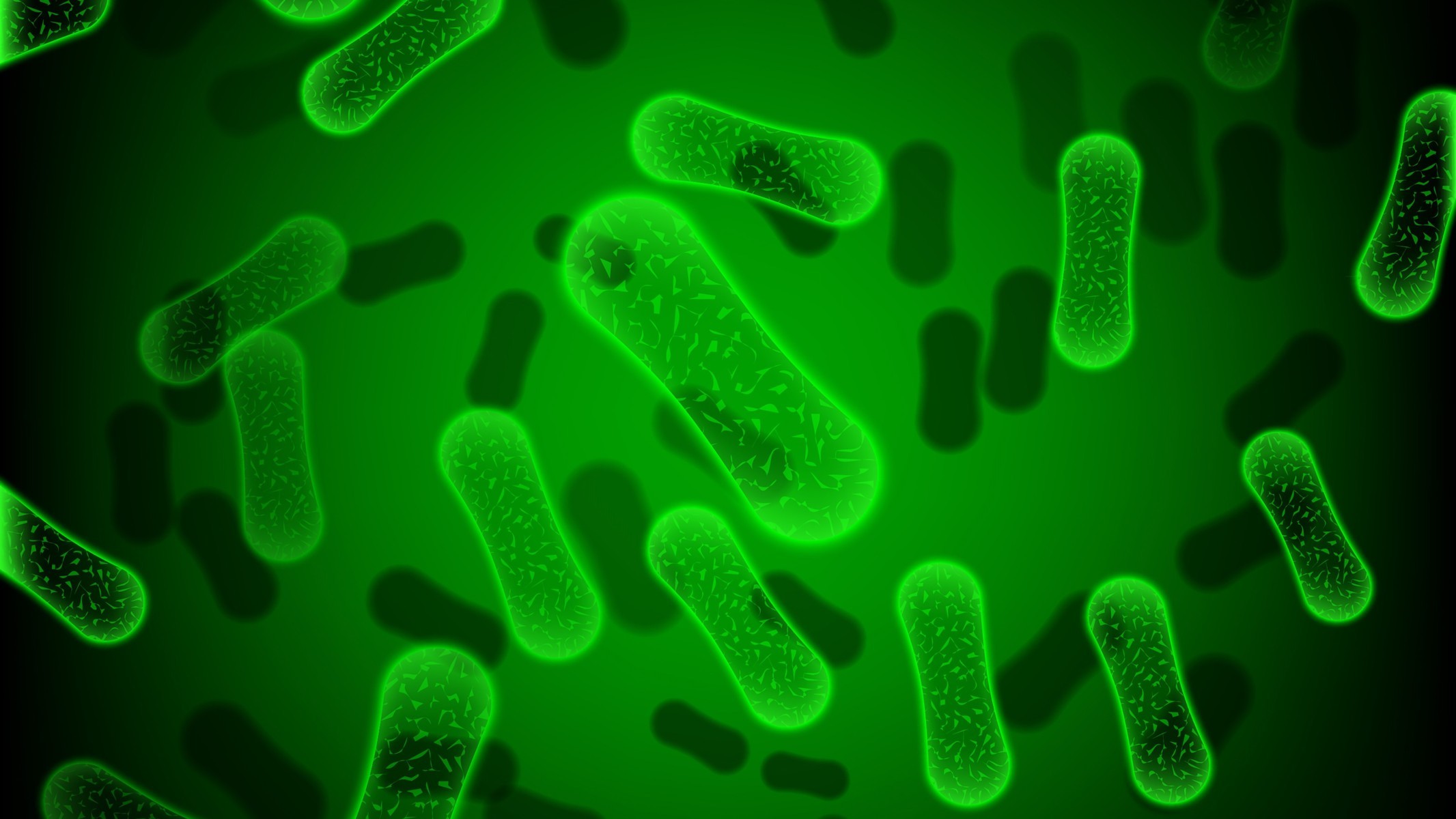 Functional Amyloids perform physiological functions in Bacteria